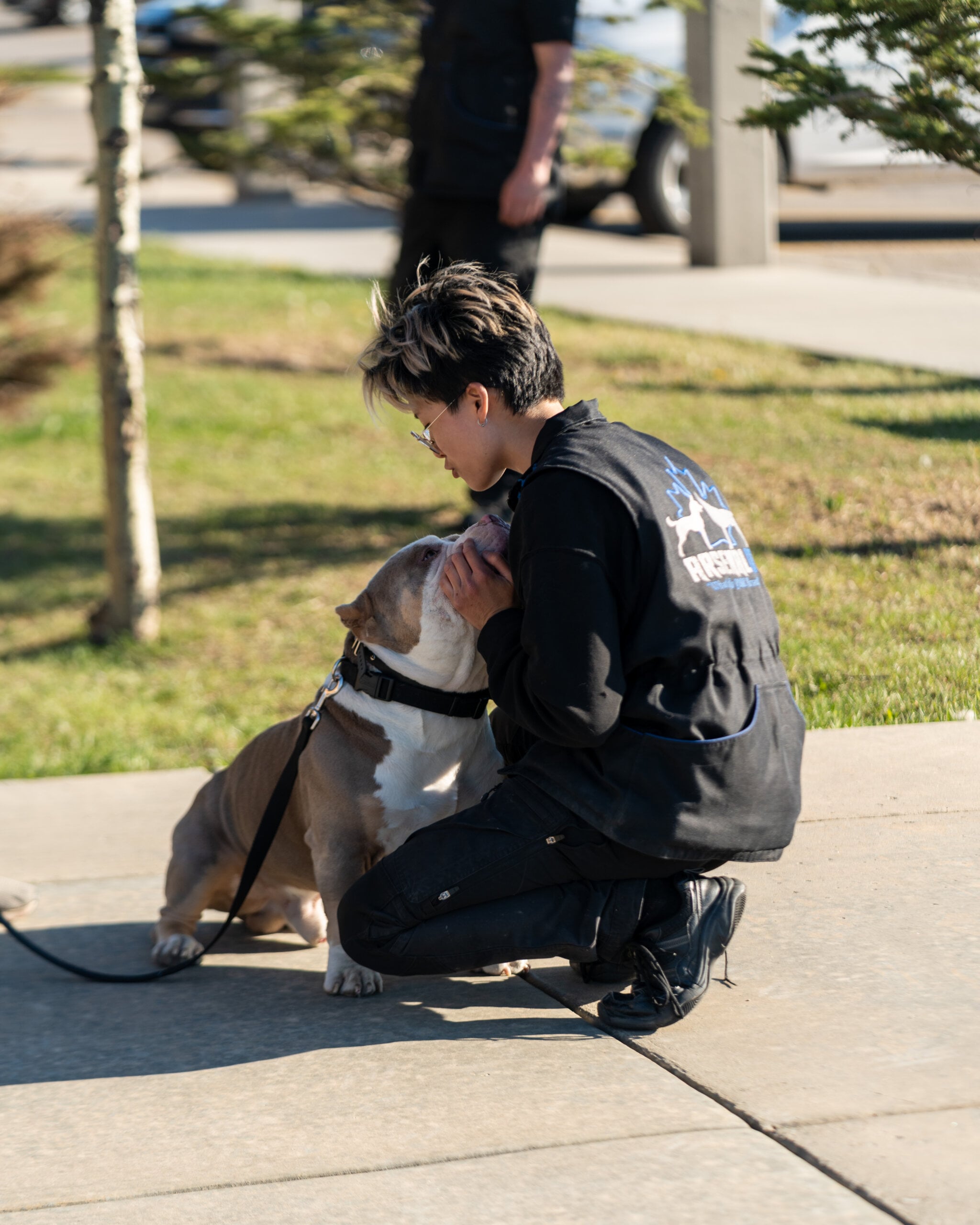 #1 Dog Training in Calgary | Arsenal Canine Academy